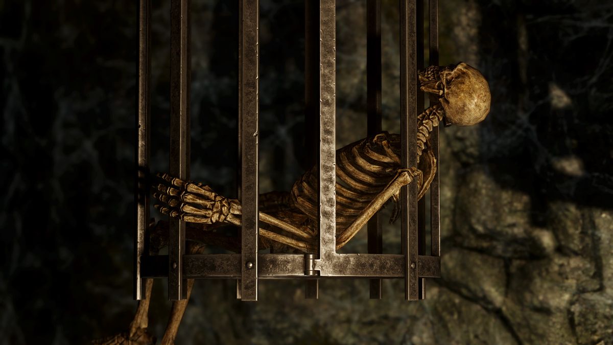 Behold the Skyrim mod you didn't know you needed: 4K cages | PC Gamer