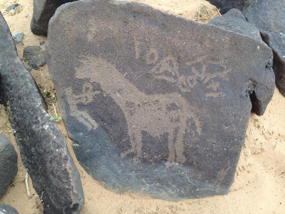 In Photos: Ancient Rock Art Found in Jordan's 'Black Desert' | Live Science