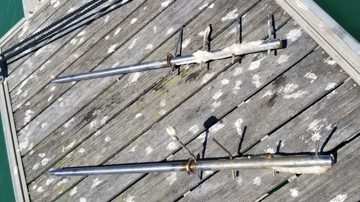 Orcas attack boat with ruthless efficiency, tearing off rudders in just ...