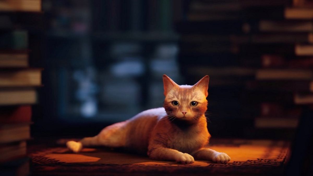 How Stray developer BlueTwelve landed on its feet with a phenomenon ...