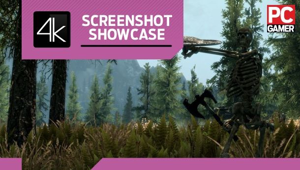 4K Screenshot Showcase: Skyrim | PC Gamer
