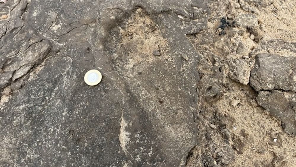 Superhighway of ancient human and animal footprints in England provides ...