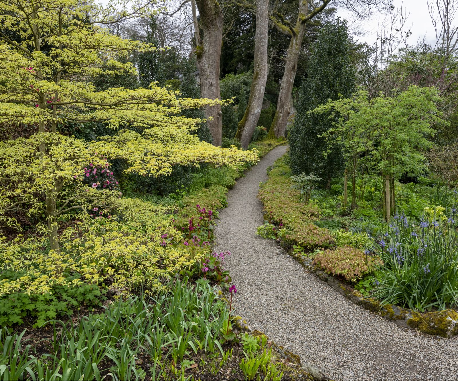 Pea gravel path ideas: 5 inspiring walkways | Homes and Gardens