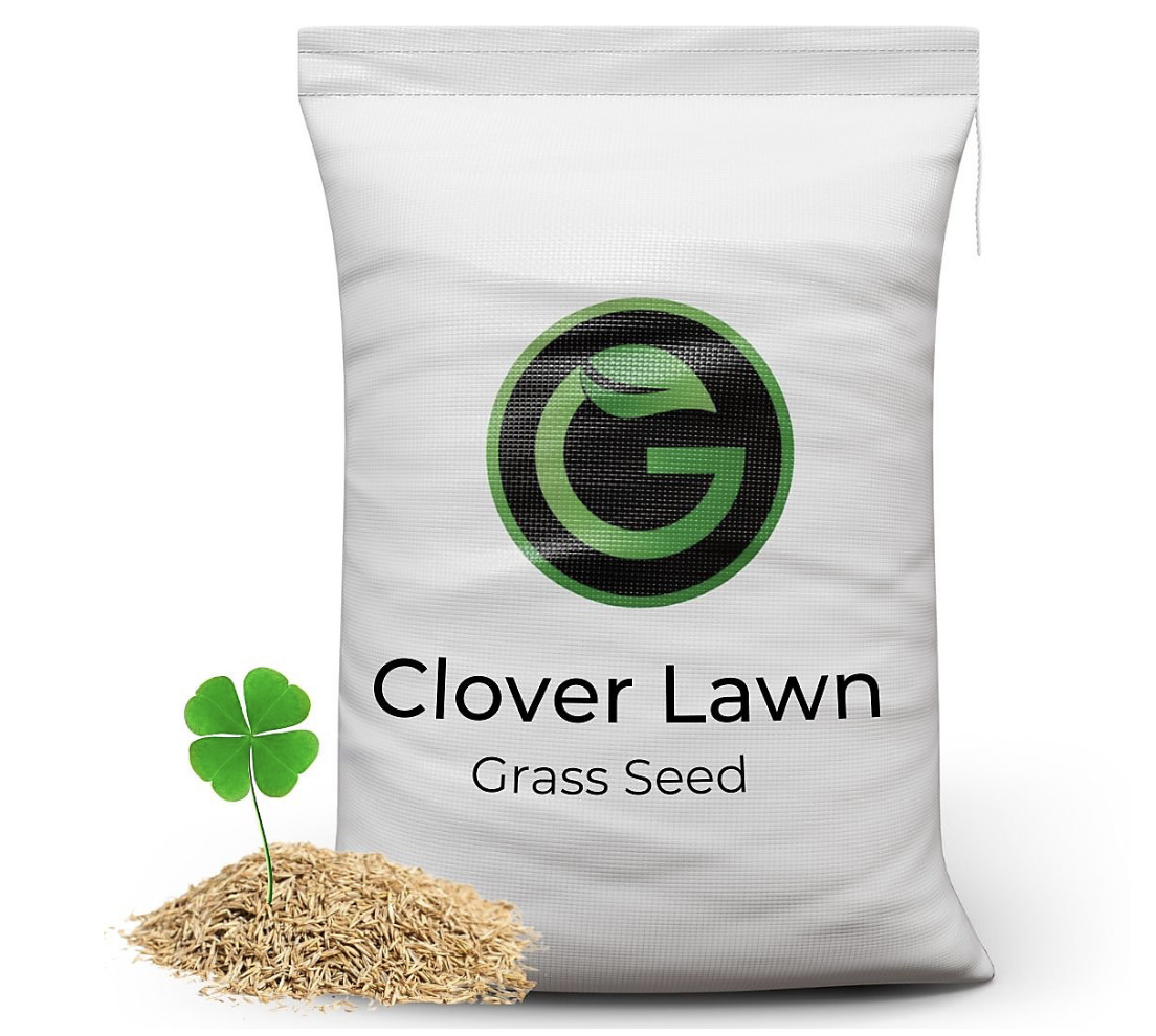 Why adding clover to your lawn could be the answer to health grass ...