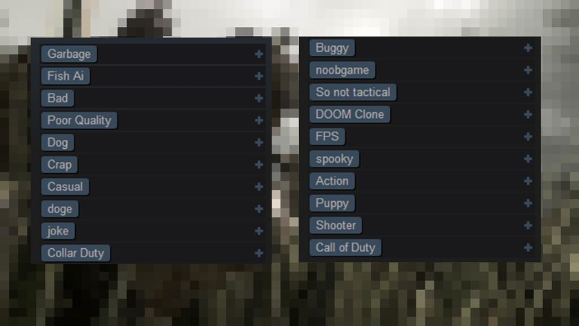 Try to guess these games by their outlandish, absurd Steam Tag pages ...