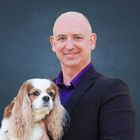 10 houseplants that are not toxic to cats — plus pro advice | Real Homes