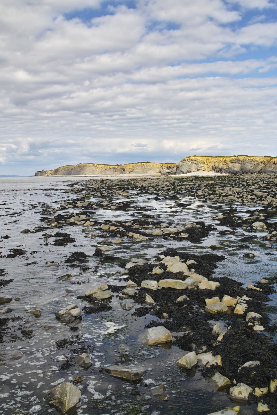 Sample images - Sigma SD1 Merrill review - Page 6 | TechRadar