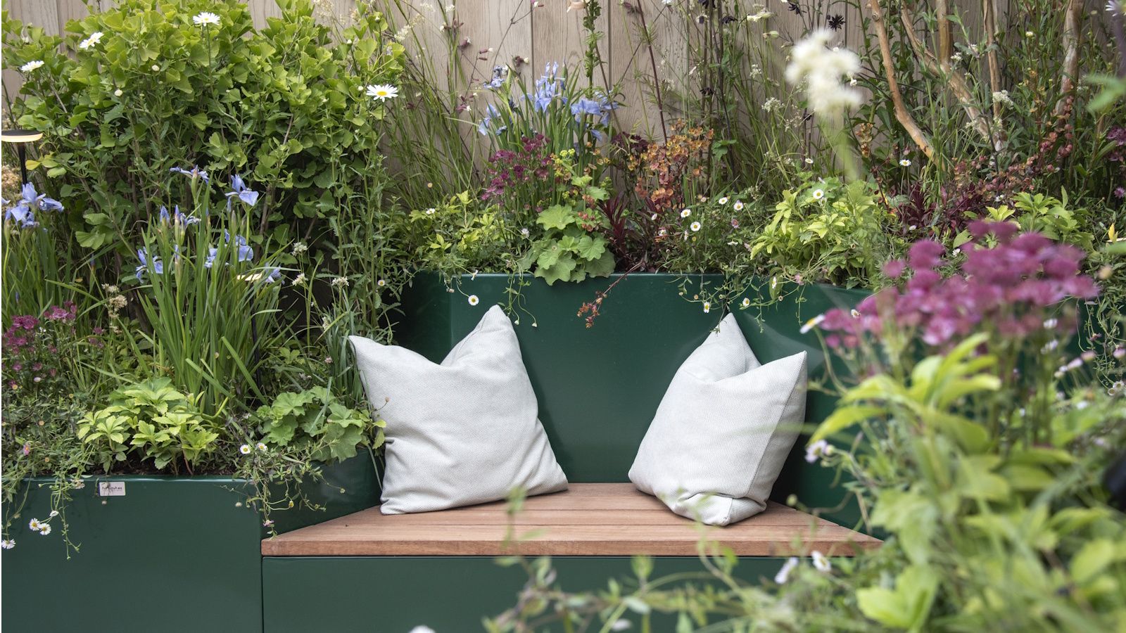 Best Places to Buy Plants: 7 Top Choices to Explore | Homes and Gardens