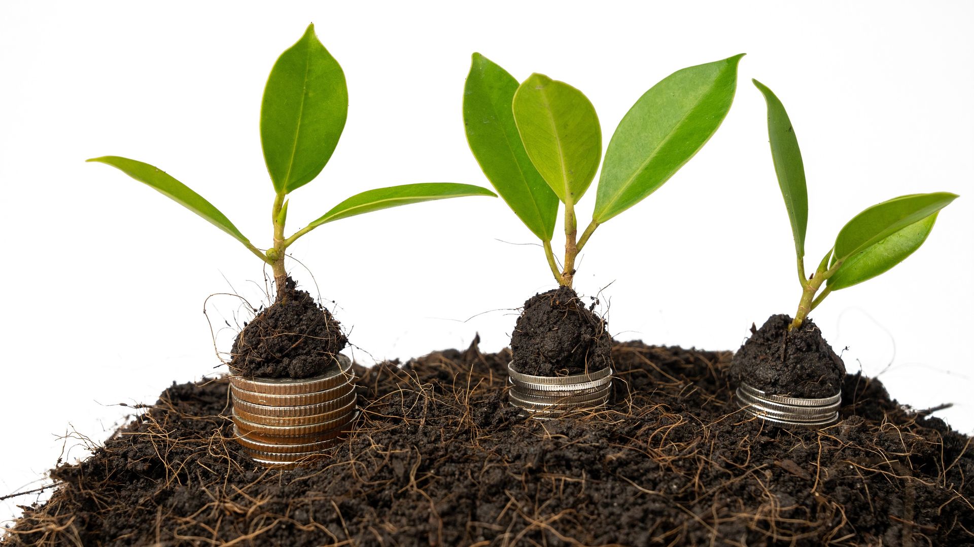 Three Key Elements of a Solid Retirement Plan | Kiplinger