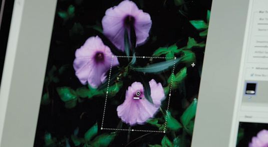 50 tips for faster working with Adobe tools | Creative Bloq