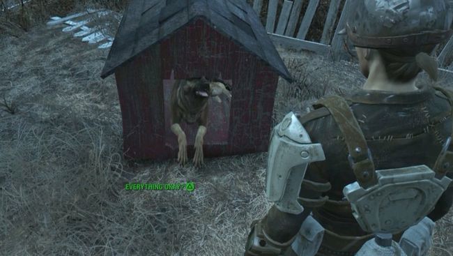 Following Dogmeat home: a tale of ghouls, walking & burning fur ...