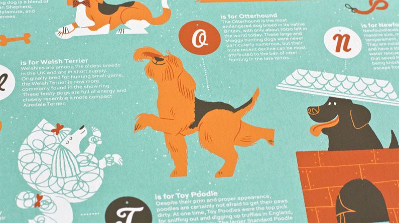Cute poster charts the A-Z of dogs | Creative Bloq
