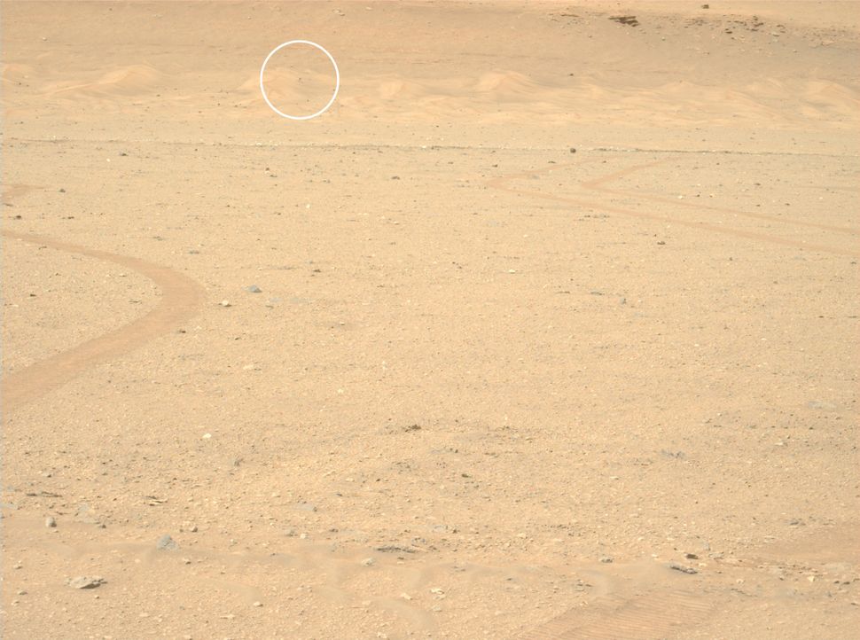 Perseverance rover spots Ingenuity helicopter on sand dune | Space