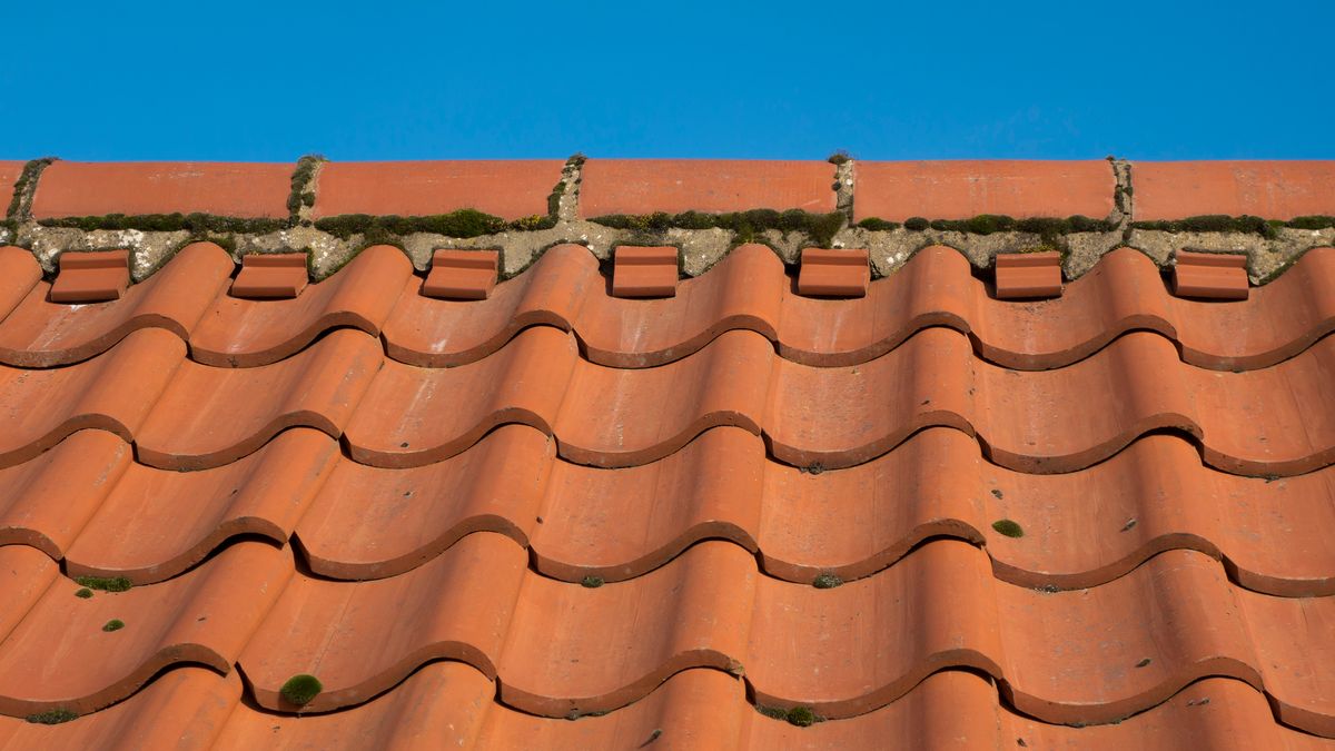 What is a Pantile Roof? Everything You Need to Know | Homebuilding