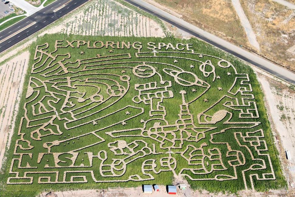 Crop Circles NASA-Style: 7 Huge Corn Mazes With Space Age Twist | Space