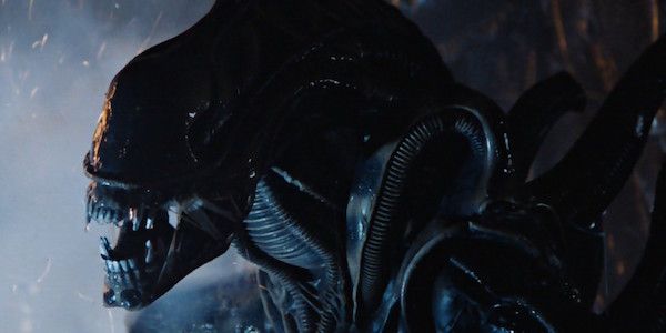 From A To Xenomorph: The 14 Different Creatures In The Alien Franchise ...