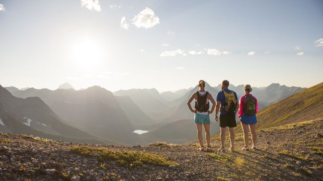 Excessive heat warnings and hiking – how hot is too hot to hit the ...