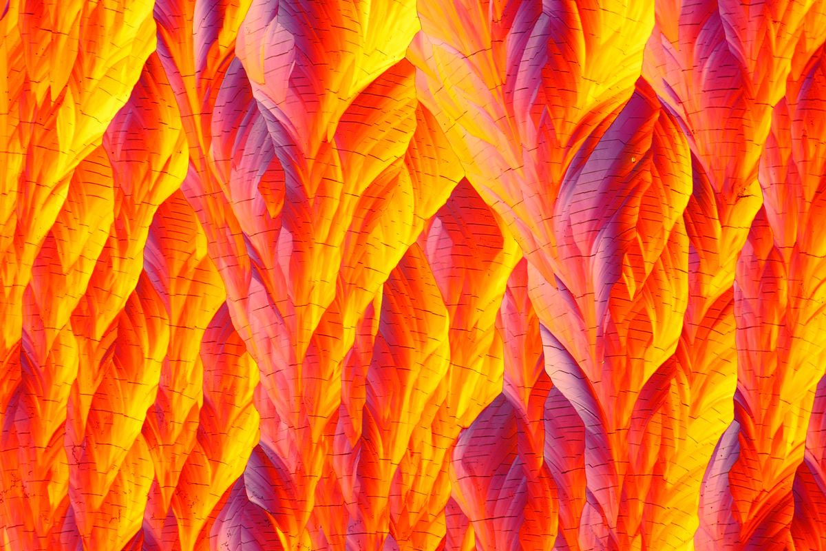 Prize-winning macro photo takes us into the Martian-like world of ...