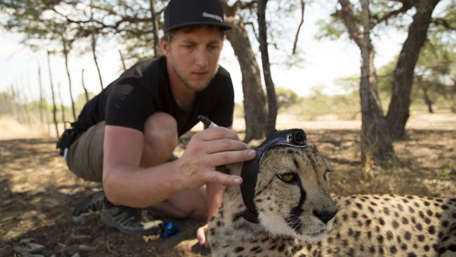 Behind the scenes with the BBC's new Animals with Cameras series ...