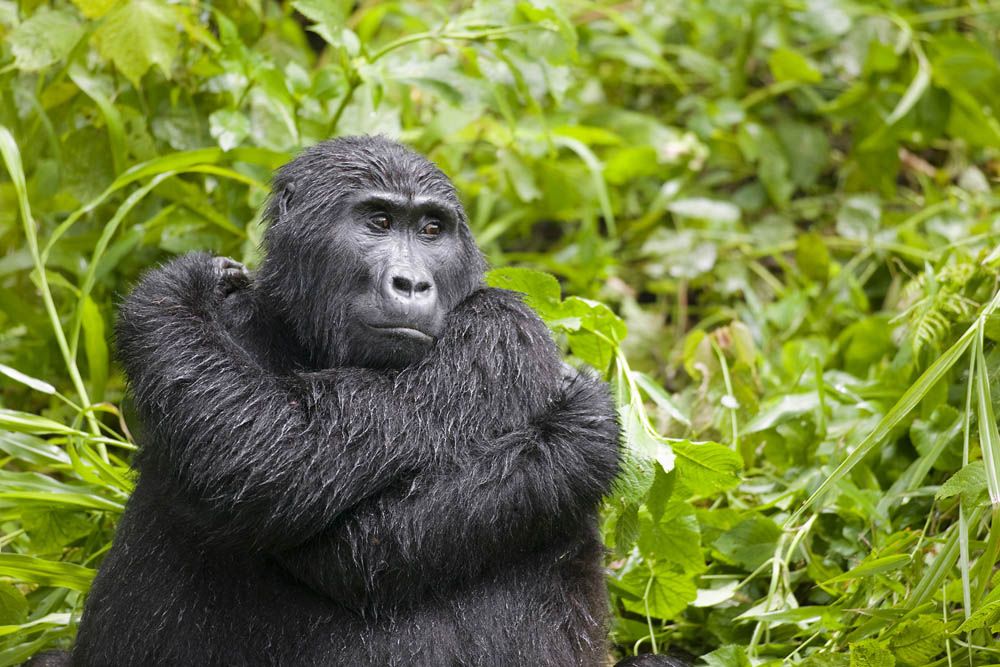 5 places to see exotic animals up close | The Week