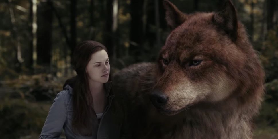 People Are Loving This Twilight Fan's Reaction To Finding Out How The ...