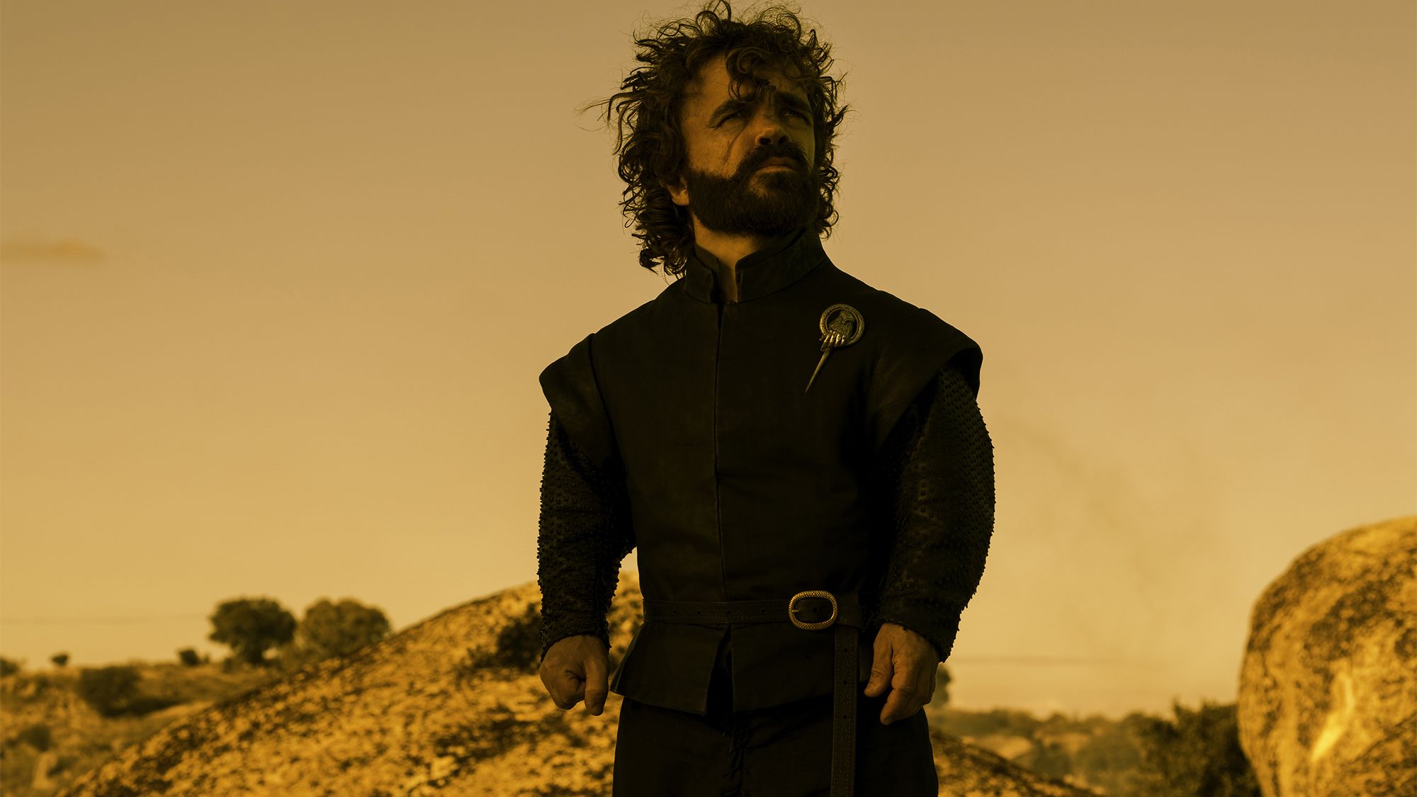What Does Tyrion's Long Face At The End Of Game Of Thrones Have To Do ...