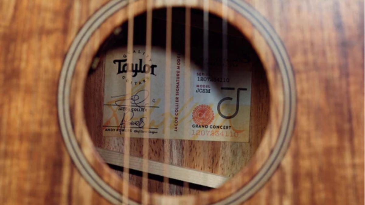 Jacob Collier releases 5-string Taylor signature acoustic guitar ...