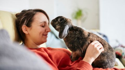 32 tips for taking care of rabbits | PetsRadar