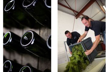 Discovering artisan Champagnes and boutique bubbles | Decanter