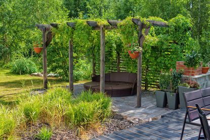 How to Protect Plants From Wind | Livingetc