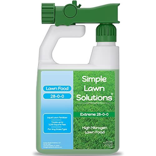 How to spot red thread lawn disease and combat the problem | Homes and ...