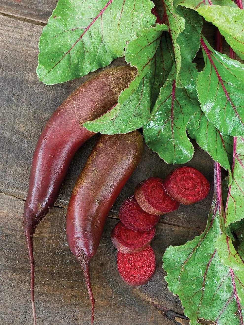 7 of the best vegetables to plant in March in your backyard | Homes and ...