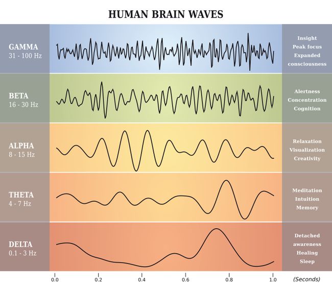 First-ever scan of a dying human brain reveals life may actually 'flash ...