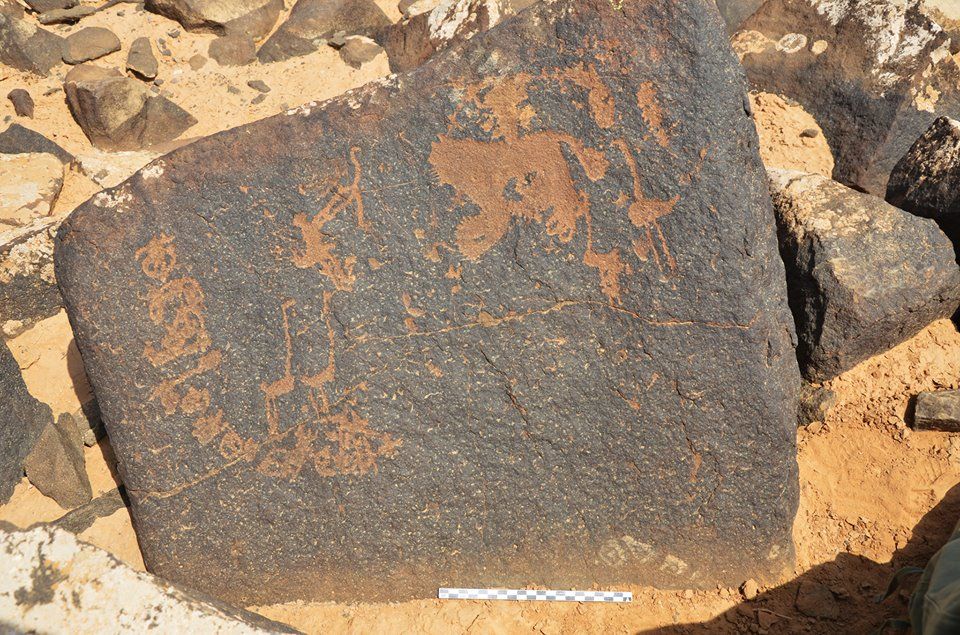 In Photos: Ancient Rock Art Found in Jordan's 'Black Desert' | Live Science