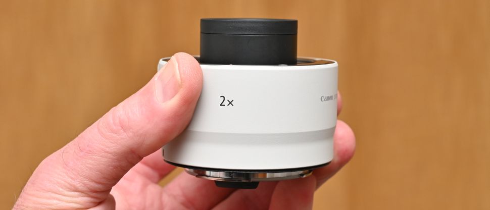 Canon Extender RF 2x review: double your telephoto reach and close-up ...