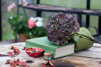 How to take care of hydrangeas in a vase - 5 expert tips | Livingetc