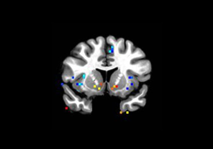 Cool Brain Facts | Behind the Scenes | Live Science