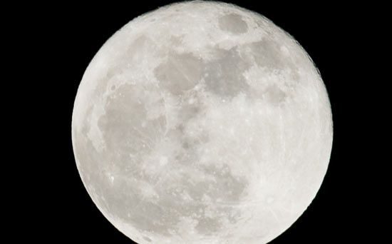 Werewolf Diet: could this juicing diet help you lose up to 6lbs in one ...