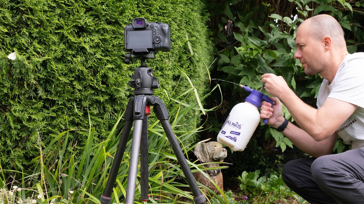 Photographing spider webs on a cold morning is one of winter's big ...