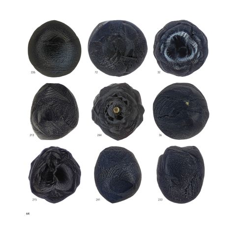 'In Search of Stardust': Photo Book Highlights the Beauty and Mysteries ...