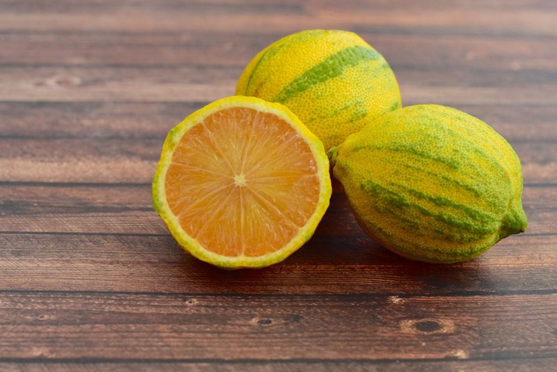 Five Common Lemon Tree Diseases – And How To Avoid Them! | Gardening ...