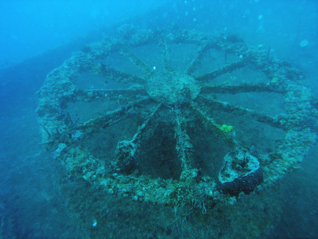 12 Outstanding Artificial Reefs to Visit | Live Science