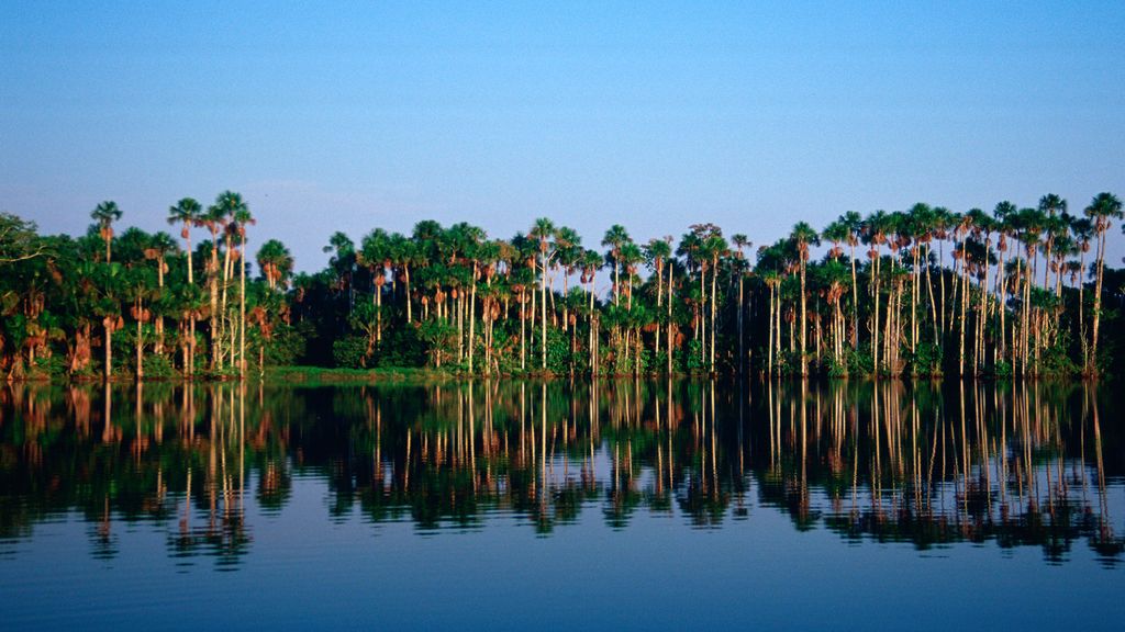 What are VOCs? The facts about volatile organic compounds | Live Science