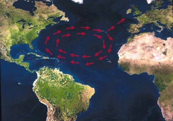 Loggerhead Turtle Migration Follows Magnetic Map | Live Science
