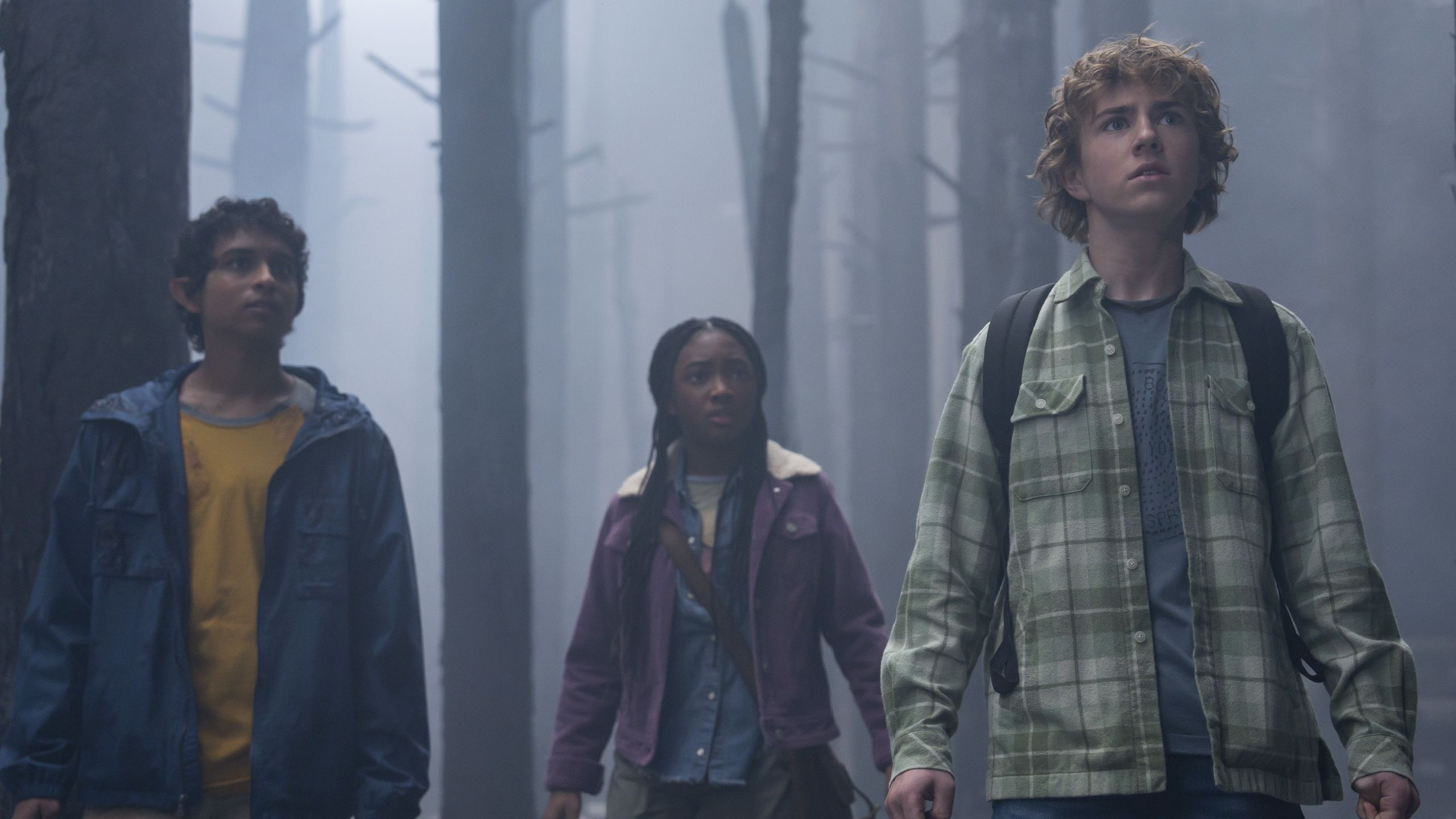Percy Jackson & The Olympians cast: who's who | What to Watch