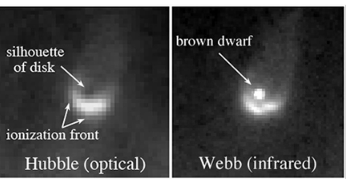 Can 'failed stars' have planets? James Webb Space Telescopes offers ...
