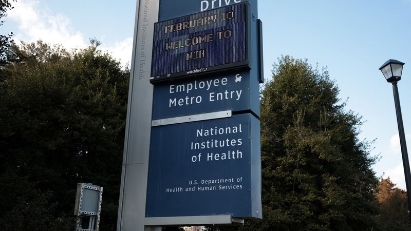 the-explainer | The Week UK