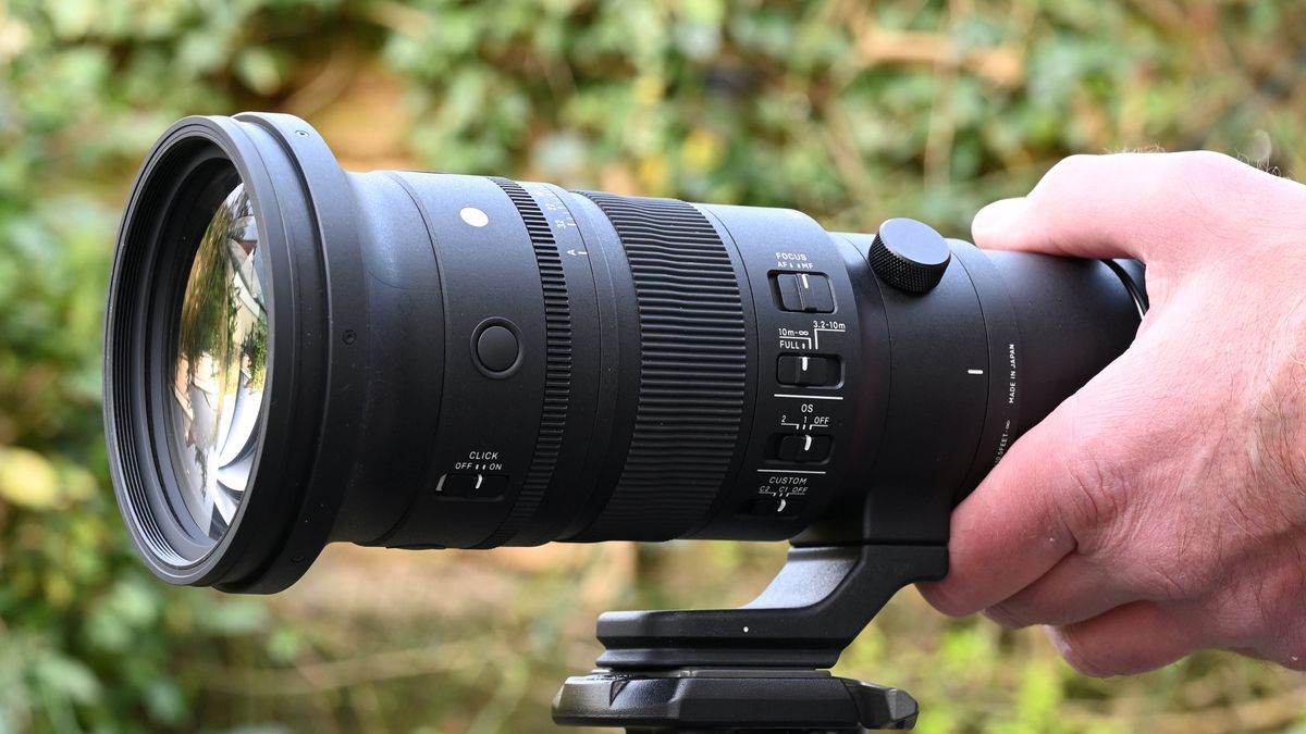 Sigma 500mm F5.6 DG DN OS Sports review: he ain’t heavy, he’s a super ...