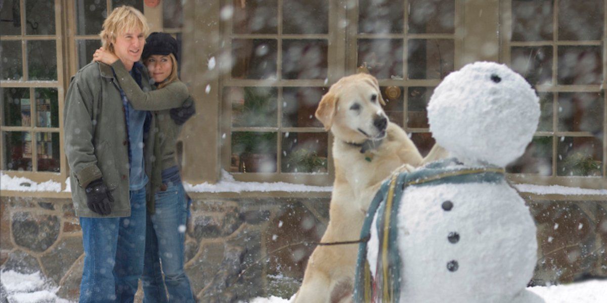 The 10 Best Dog Movies Ranked, Including Togo | Cinemablend
