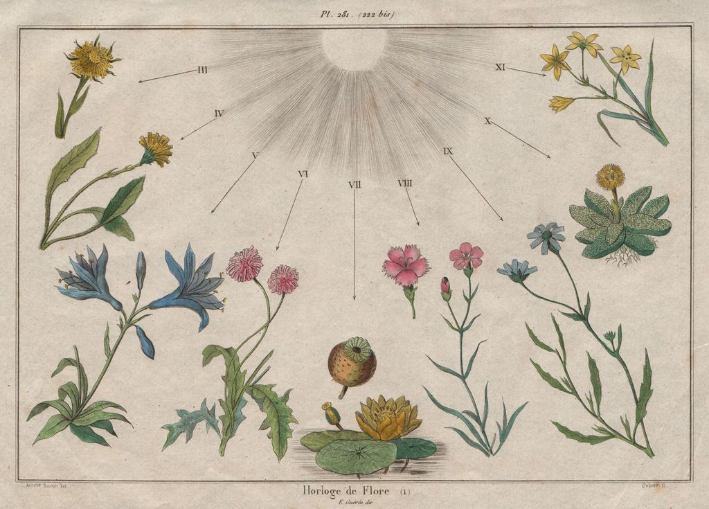 Why does BBC Radio 4 broadcast 'the pips' at the top of the hour ...